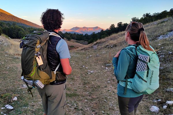 Nature Positive Tourism: Field Training - Rewilding Academy