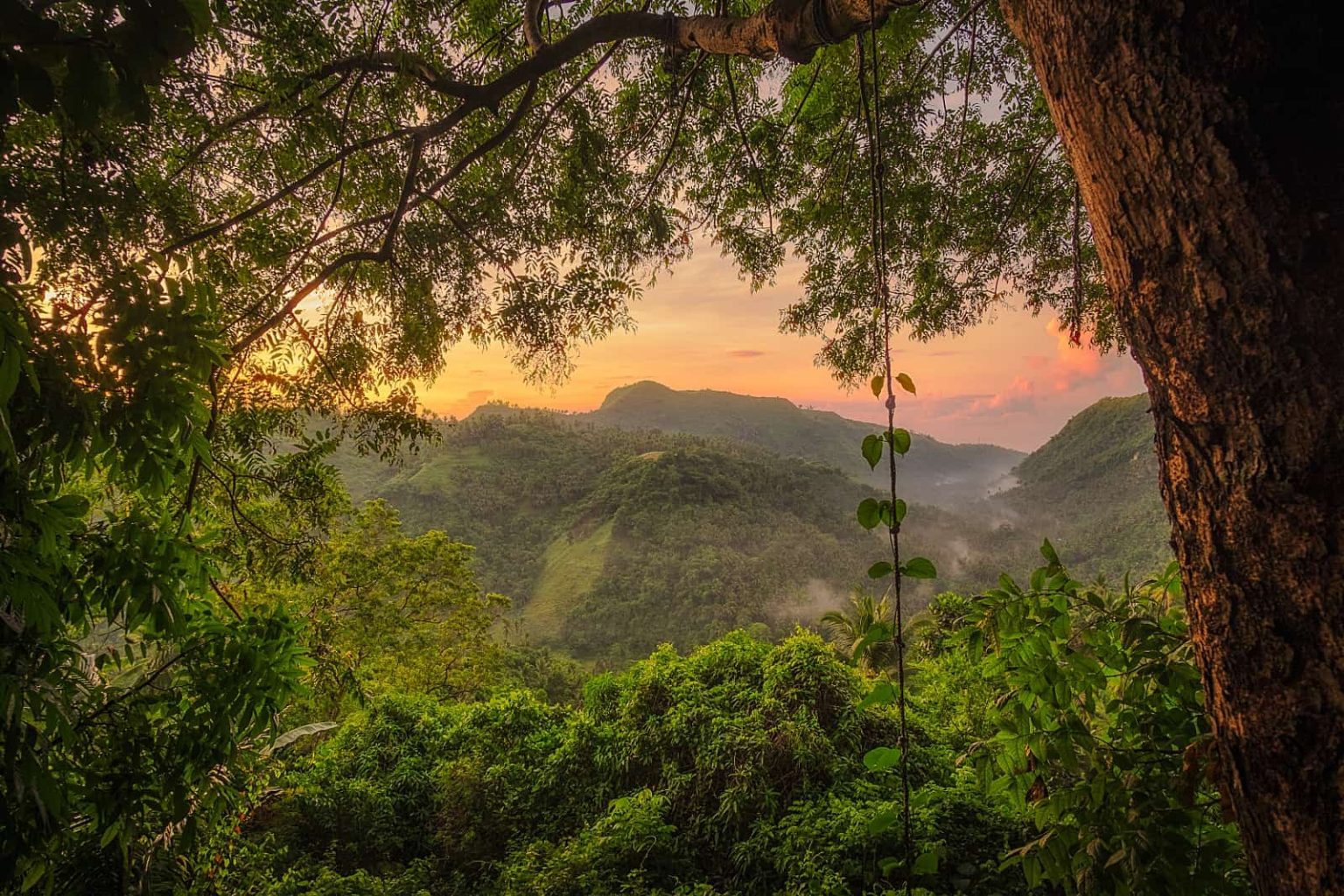 Explore Global Charter for Rewilding the Earth: a joined strategy for ...