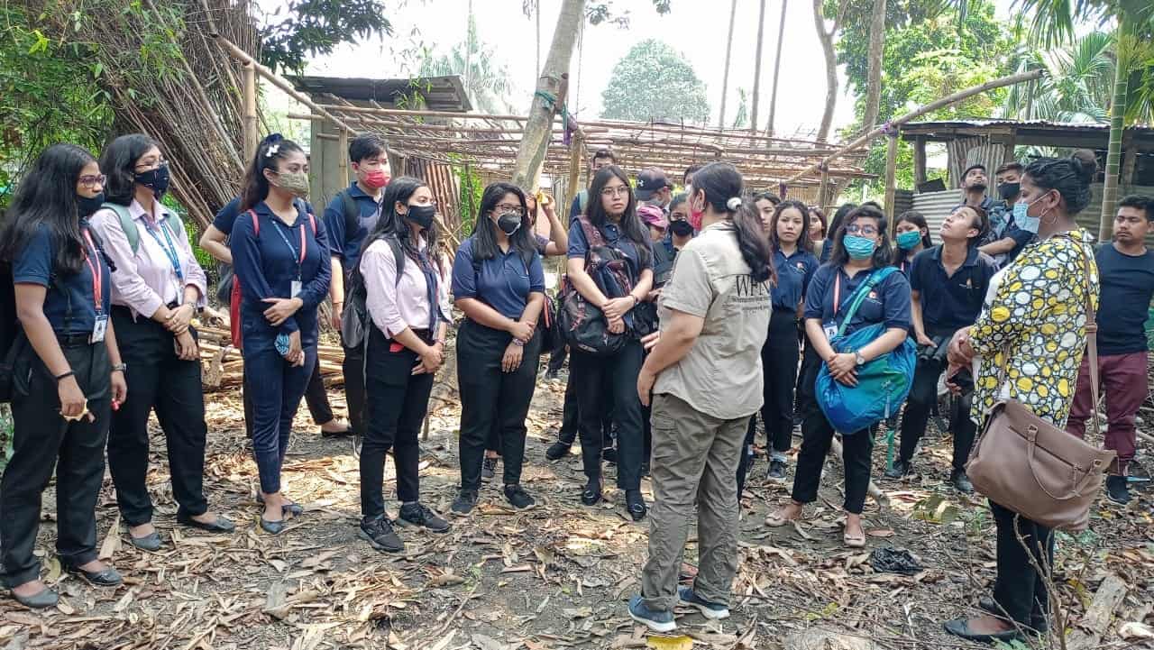 How can rewilding help restore ecosystems globally? - Rewilding Academy