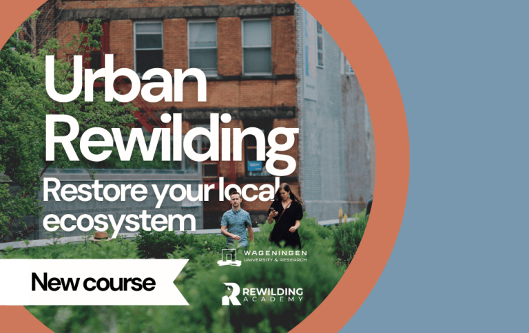 Rewilding Knowledge Hub - Rewilding Academy