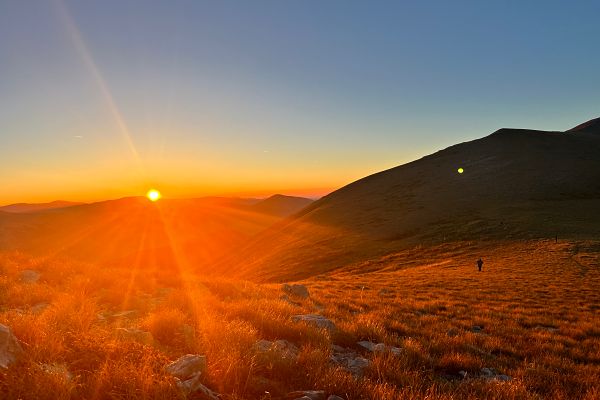 Nature Positive Tourism: Field Training - Rewilding Academy