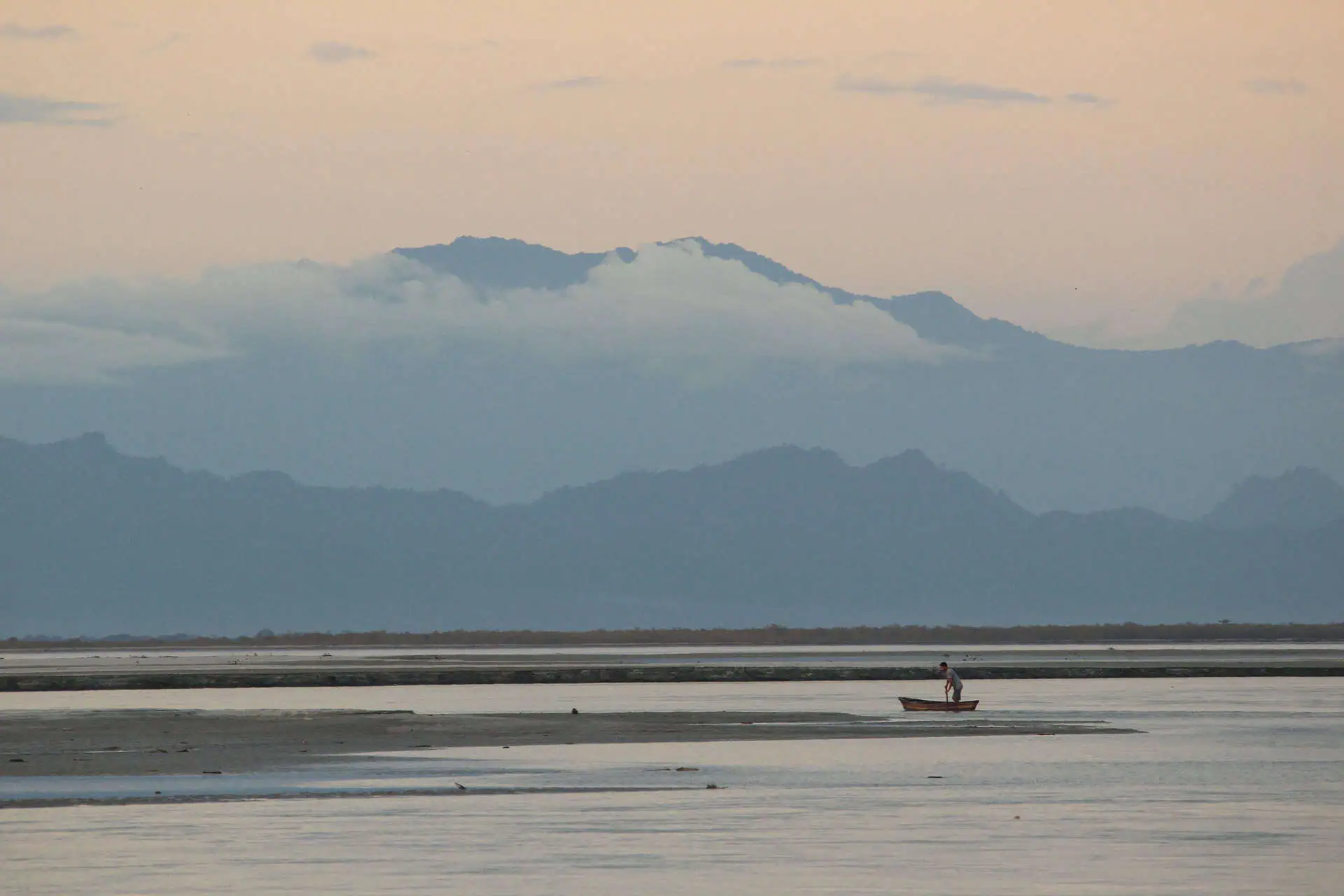 Brahmaputra floodplains restoration - Rewilding Academy