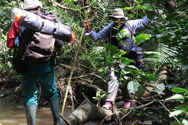 Ecosystem restoration curriculum for students and young professionals - Rewilding Academy