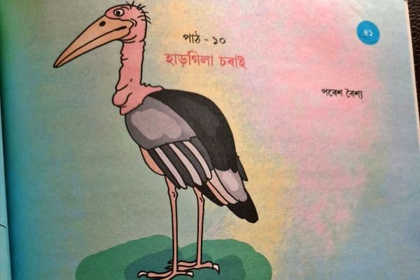 Hargila Army - women saving the Greater Adjutant Stork - Rewilding Academy